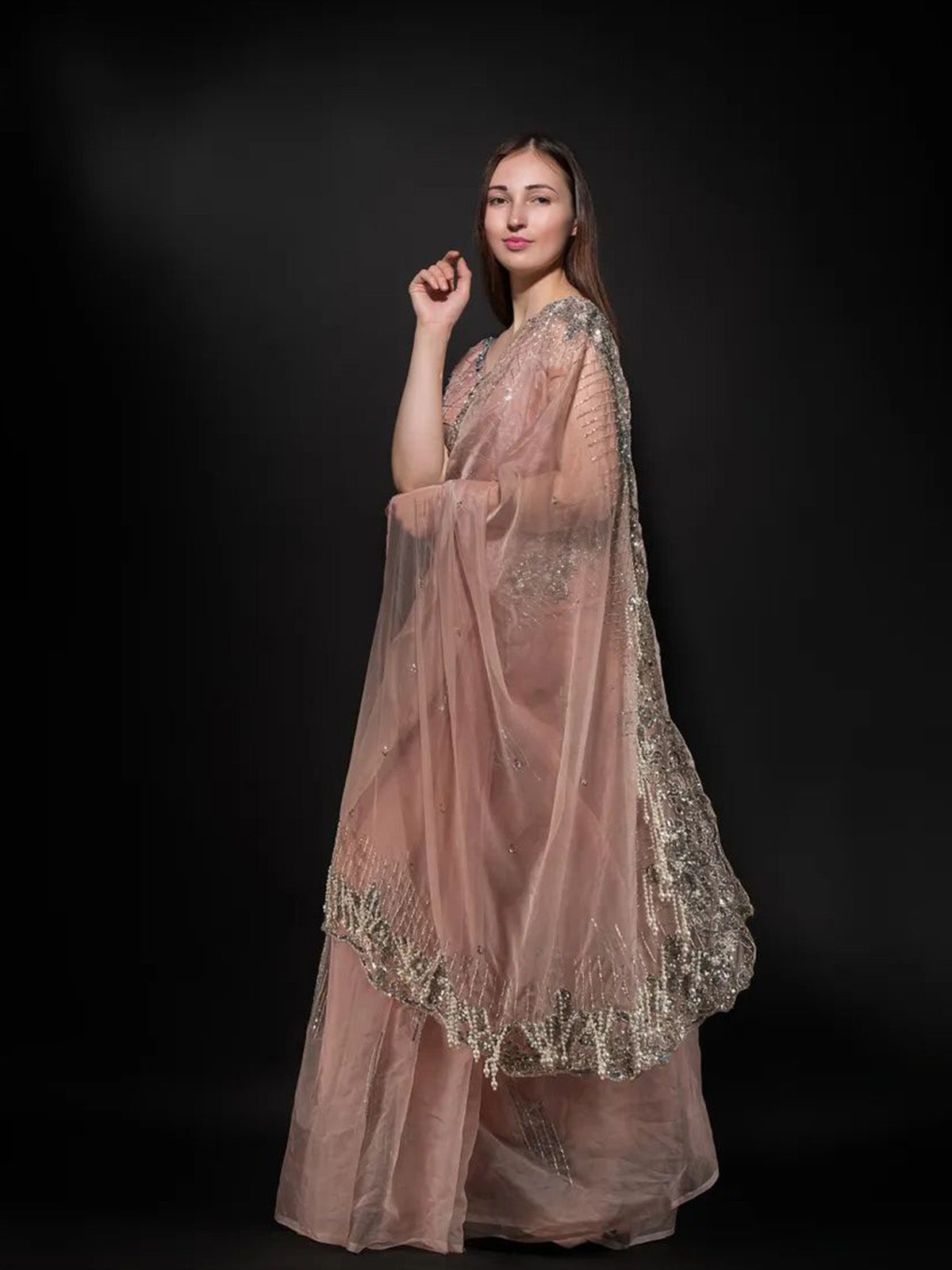 Saree Affair – Design Duality Inc.